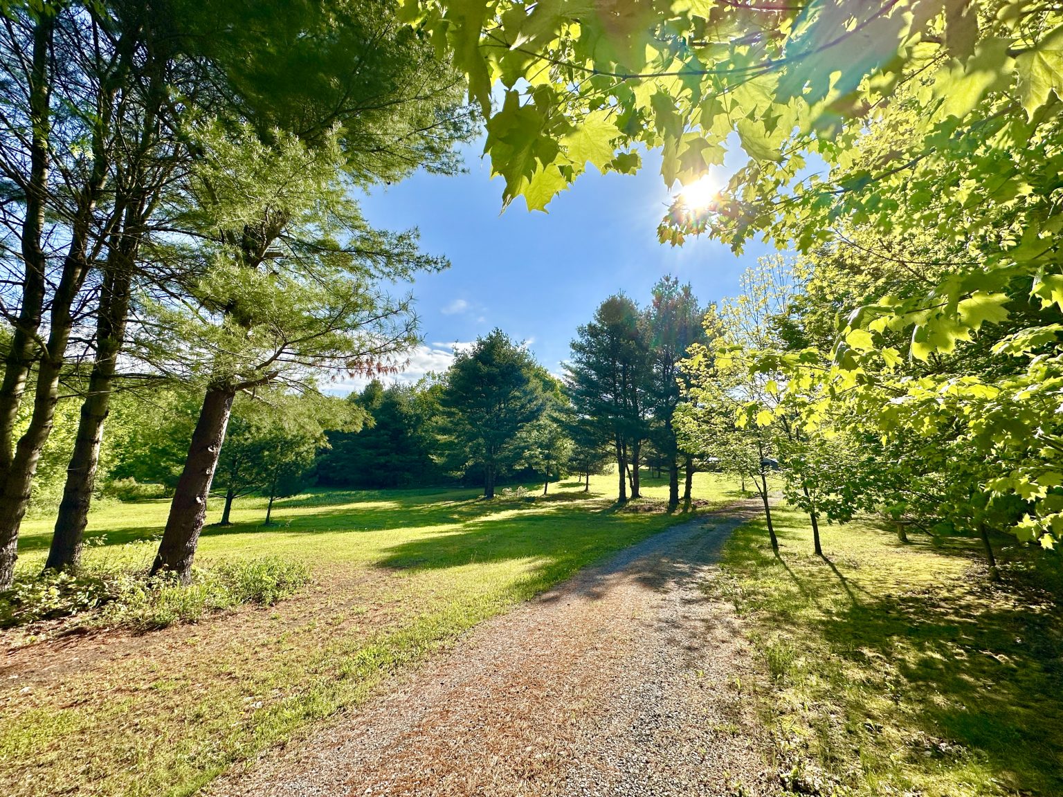 Save South Frontenac – No Alto Train